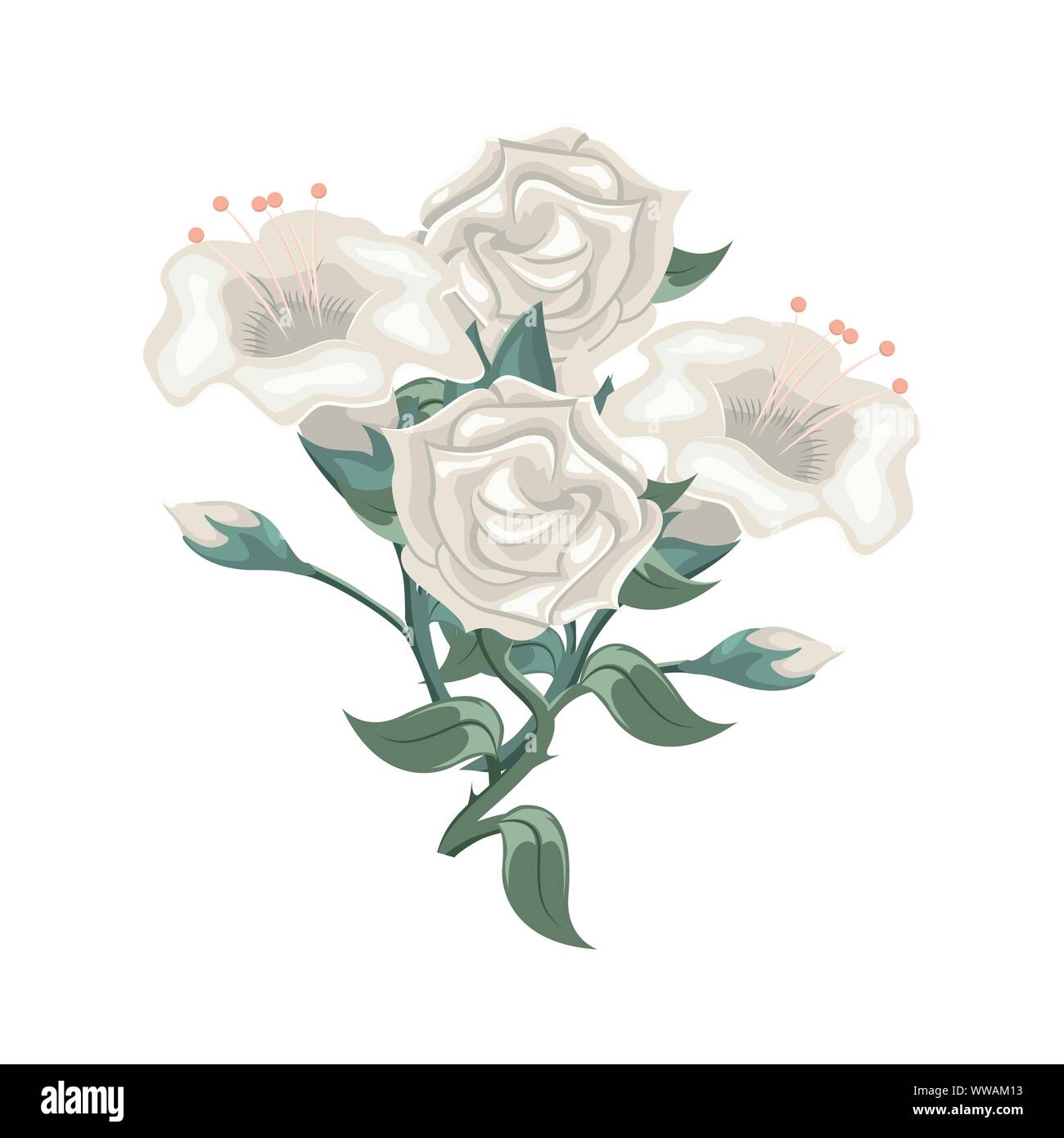 Set of white roses and tulips. Flower arrangement Stock Vector Image ...