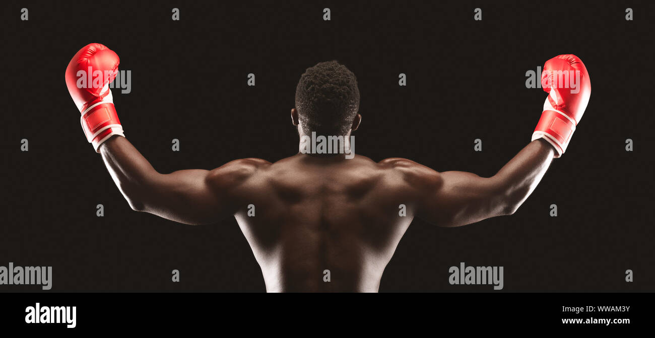 Male fitness model bodybuilder back High Resolution Stock Photography ...