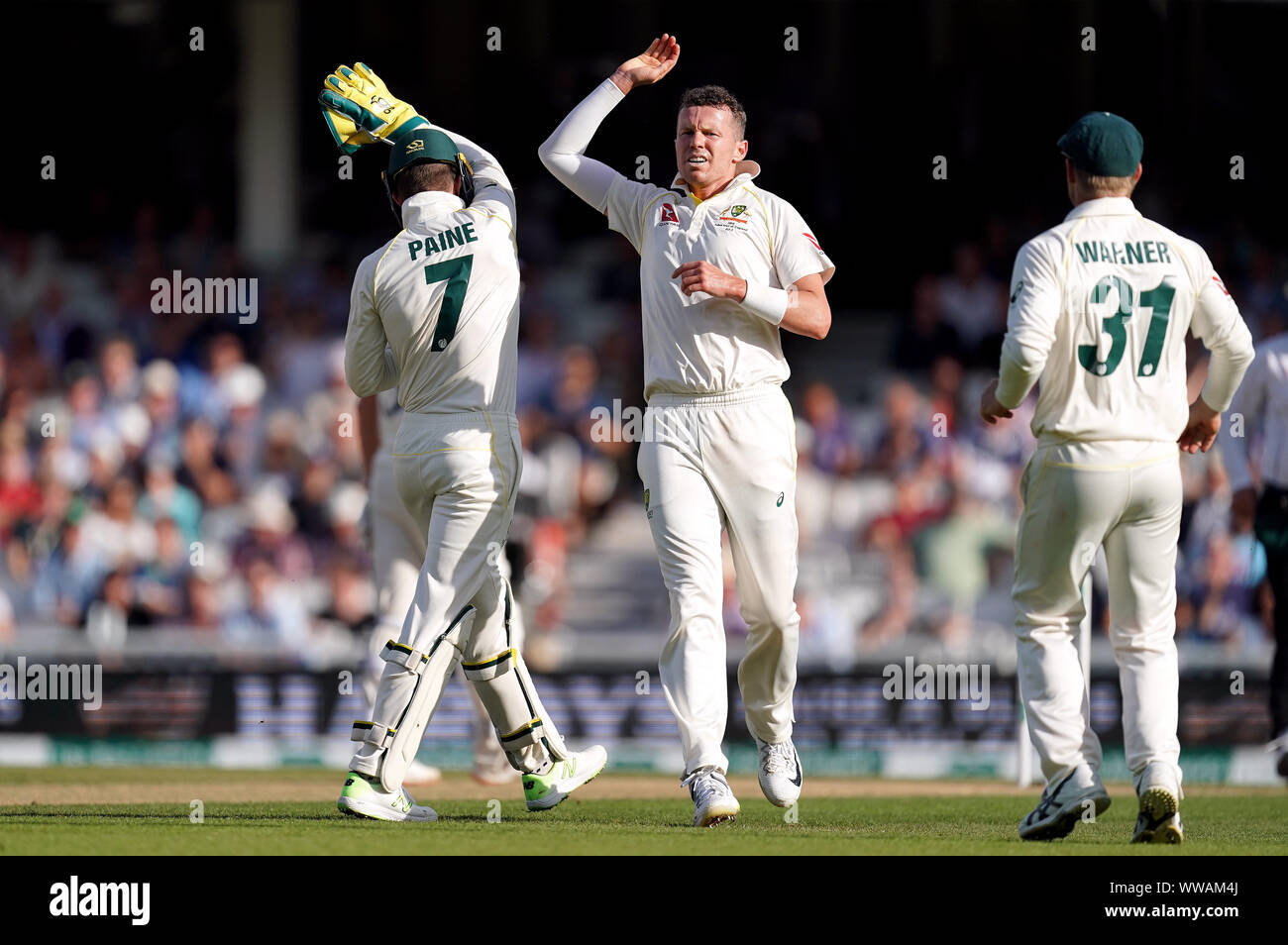 Australia’s Peter Siddle celebrates dismissing England’s Joe Denly for ...