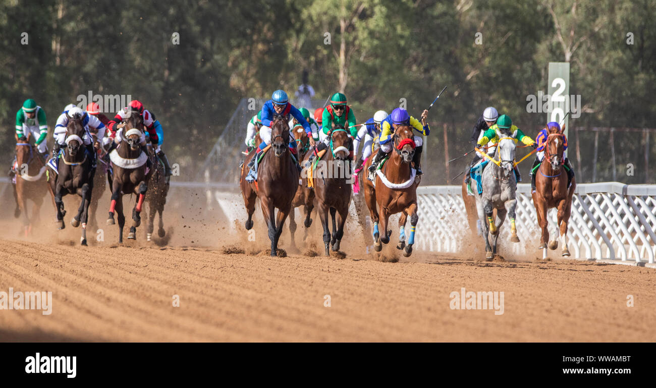 Horse Racing at King Khalid Racetrack, Taif, Saudi Arabia 21/06/2019 ...