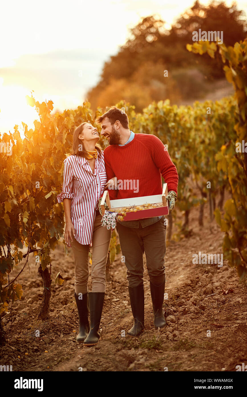 Grape harvesting- Smiling man and woman winemakers walking in between ...