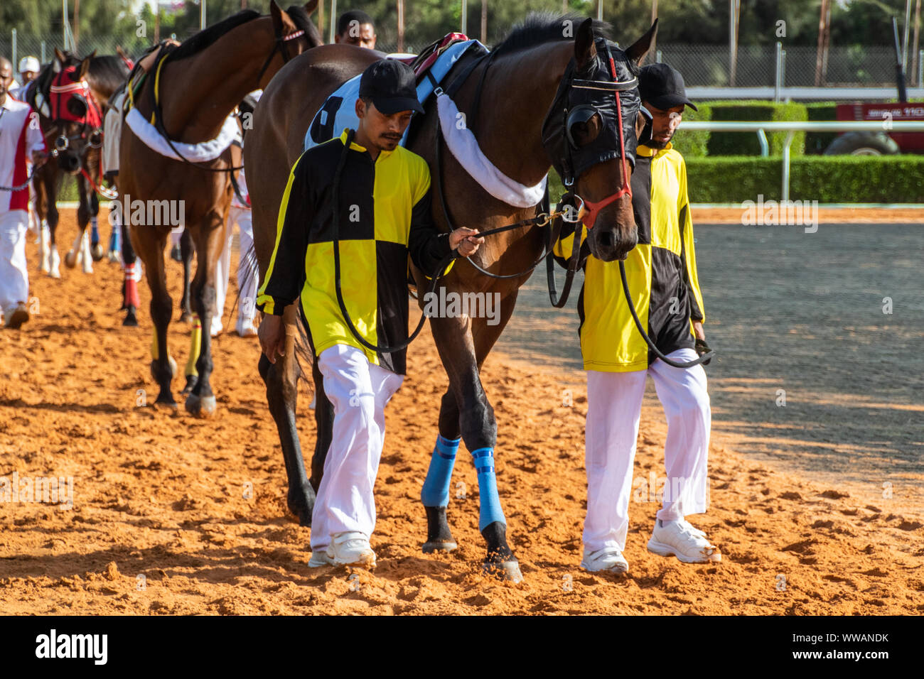 Horse Racing at King Khalid Racetrack, Taif, Saudi Arabia 21/06/2019 ...