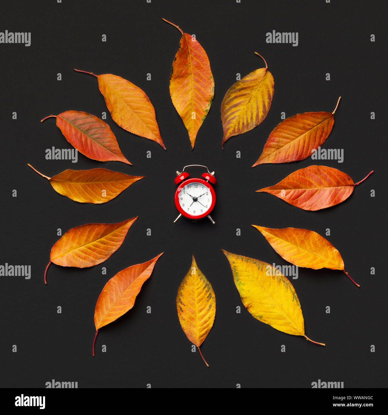 Creative autumn flower of fallen leaves and red alarm clock Stock Photo ...