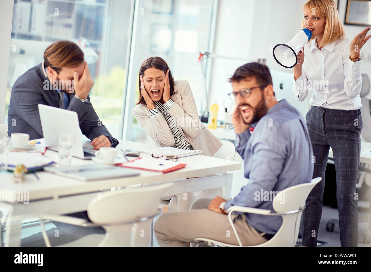 Team leader woman business owner at office Stock Photo - Alamy