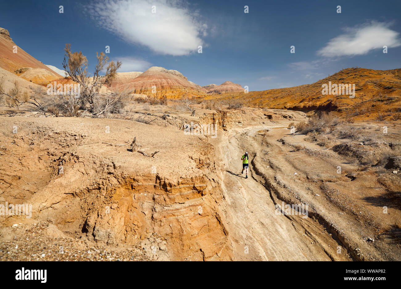 Runner athlete with beard running on the wild trail at red mountains in ...