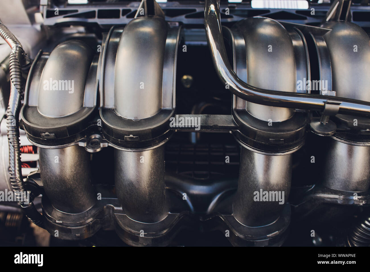 LPG , NGV Gas tanks are installed in a car for the 2 fuel system Stock ...