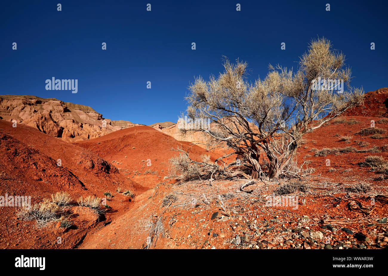Hot dry desert mountain hi-res stock photography and images - Alamy