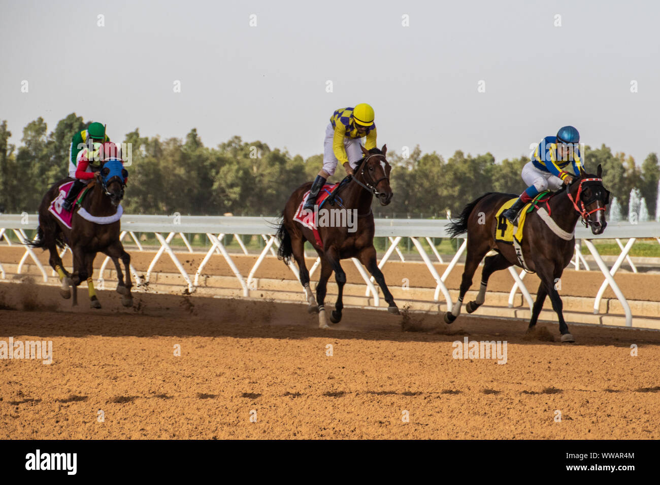 Horse Racing at King Khalid Racetrack, Taif, Saudi Arabia 21/06/2019 ...