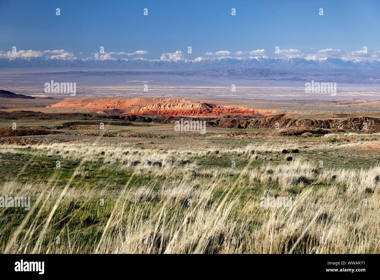 Kazakh steppe hi-res stock photography and images - Alamy
