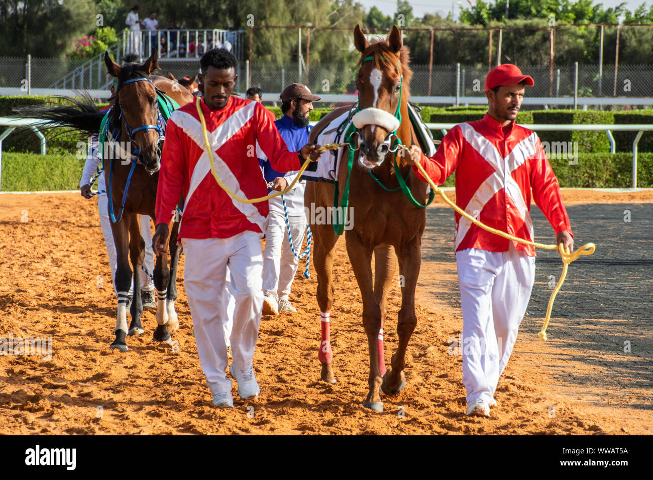 Horse Racing at King Khalid Racetrack, Taif, Saudi Arabia 21/06/2019 ...