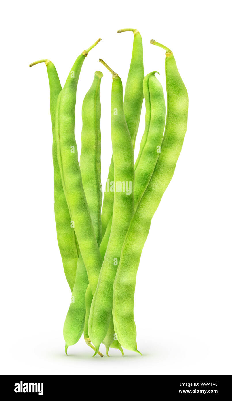 Isolated runner beans. Bundle of raw green beans standing vertical ...