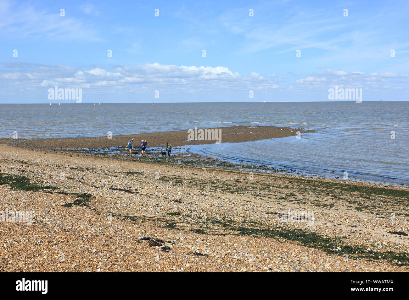 A landscape scene of the Tide going out at Tankerton Beach Stock Photo ...