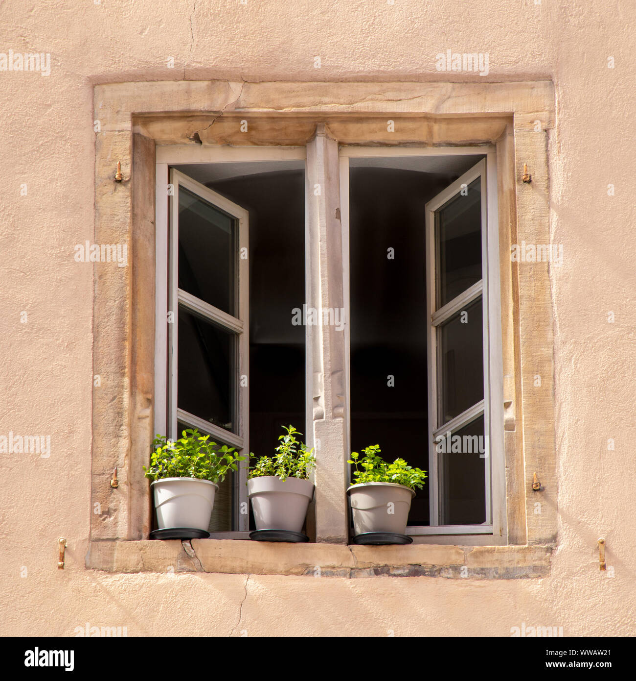 Wisteria house balcony hi-res stock photography and images - Alamy