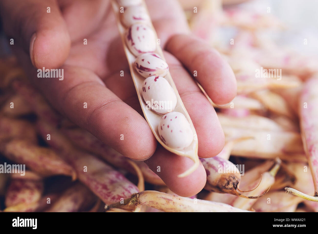 Hand kidney hi-res stock photography and images - Alamy
