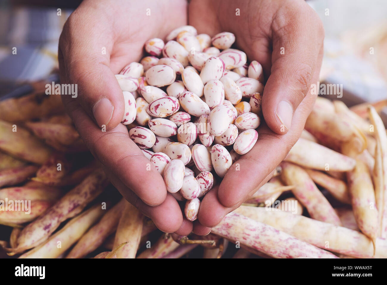 Feijao rajado hi-res stock photography and images - Alamy
