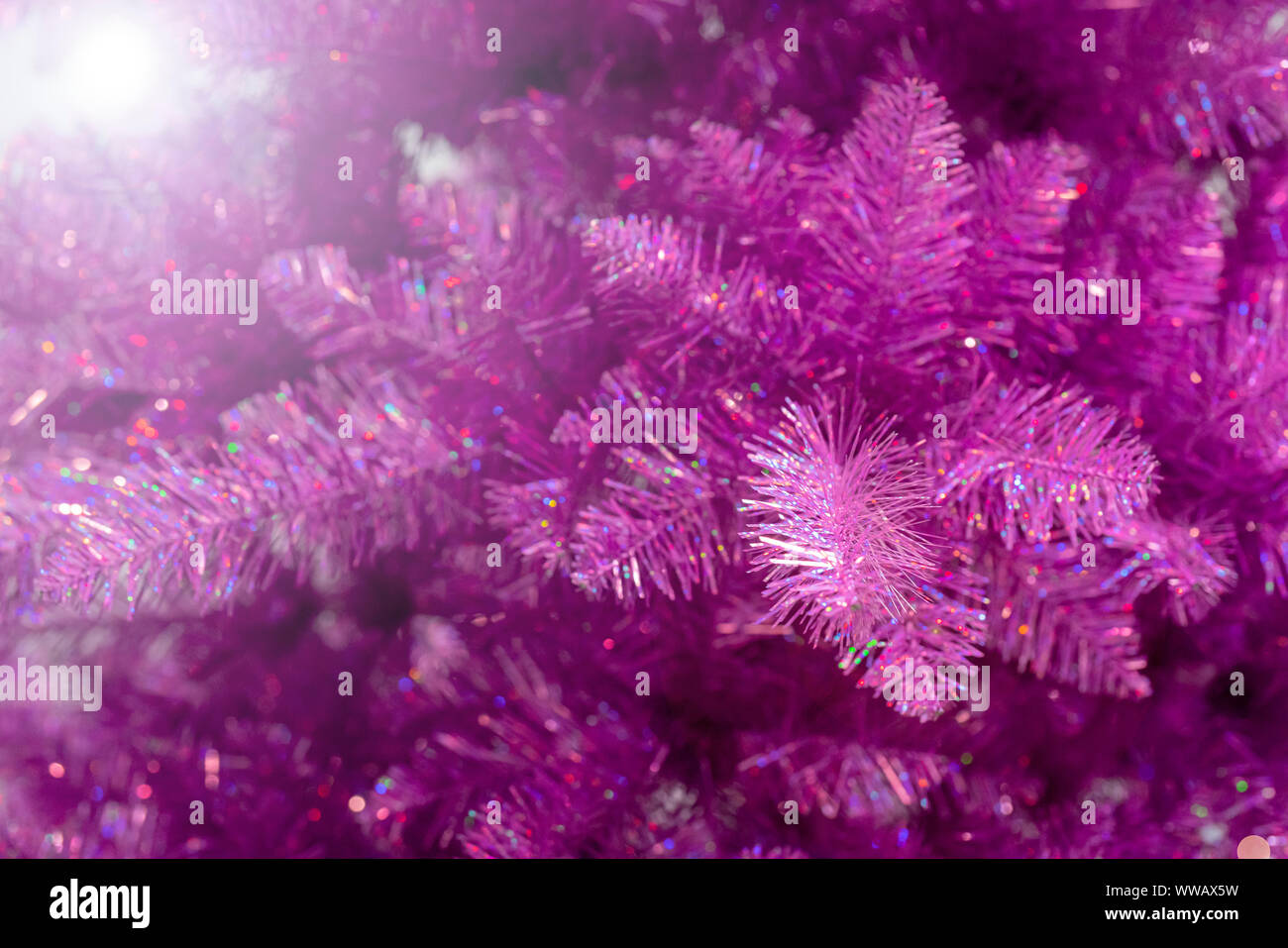 Branches of spruce - natural background. Christmas holiday Stock Photo ...