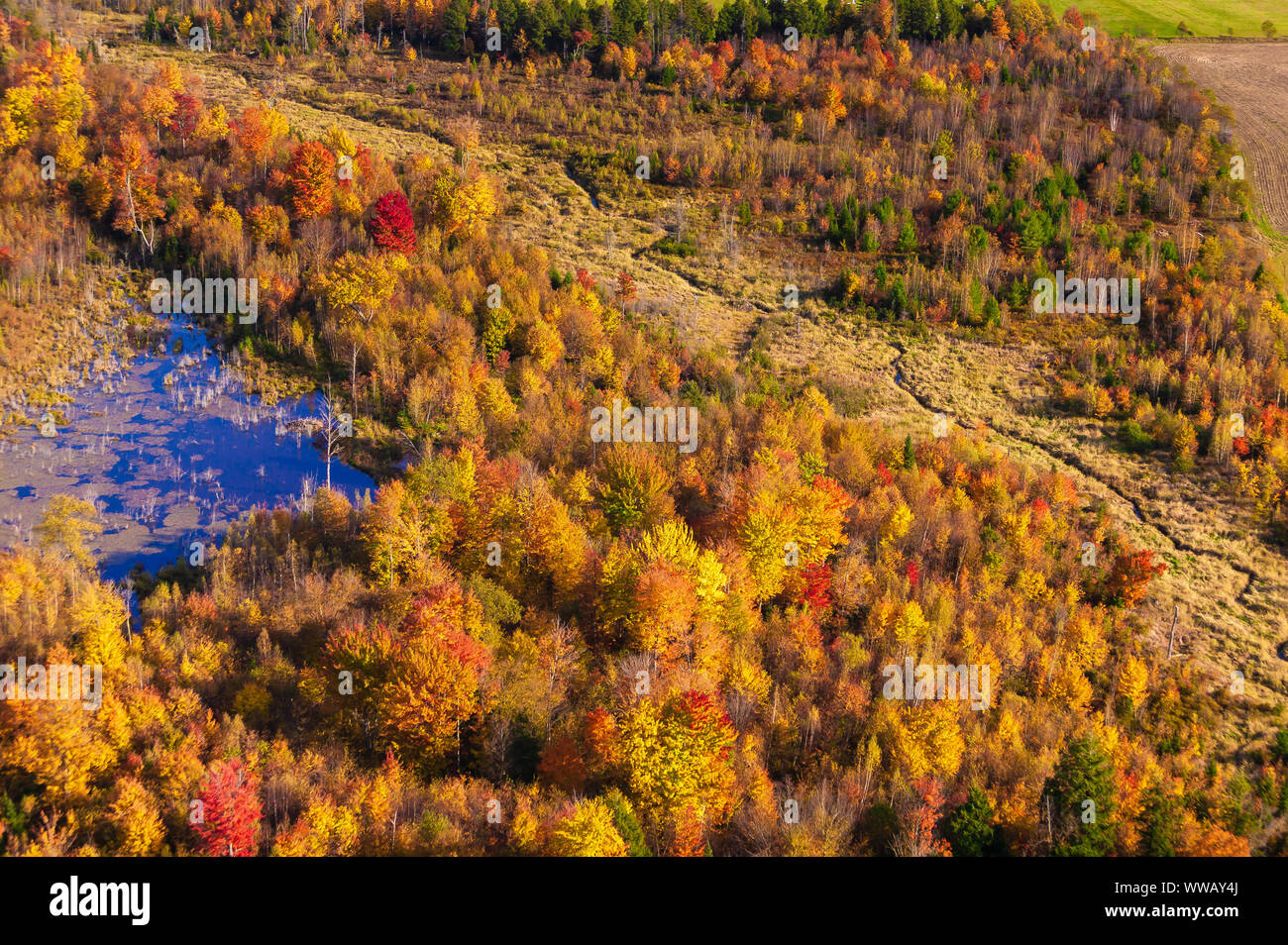 Colorful airplane on grass hi-res stock photography and images - Alamy