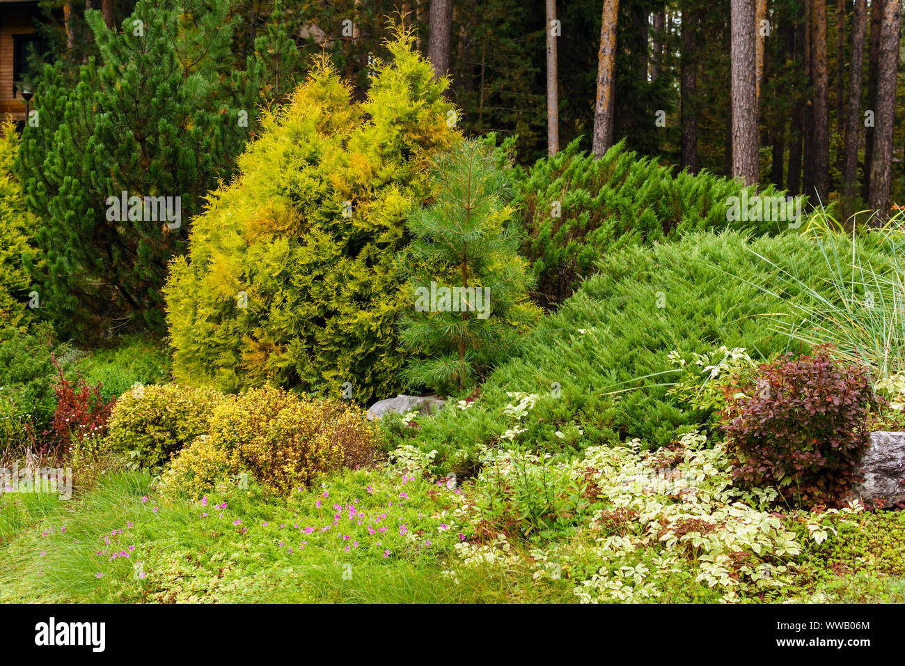 diverse vegetation in the area of the park with landscaping Stock Photo ...