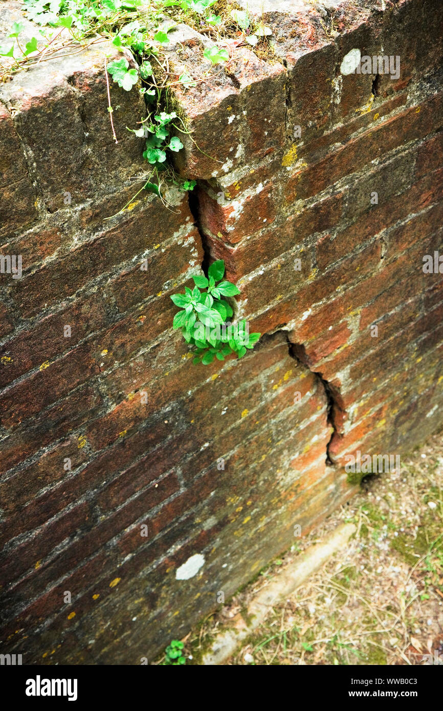 Cracked brick wall - Deep crack in a brick wall Stock Photo - Alamy