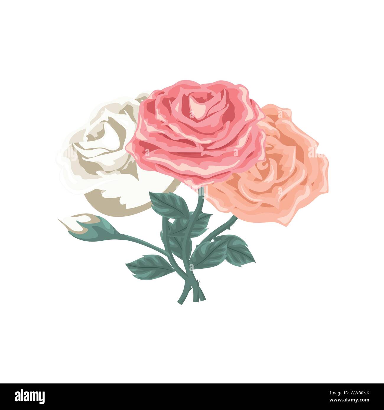 Beautiful set of roses of different color Stock Vector Image & Art - Alamy