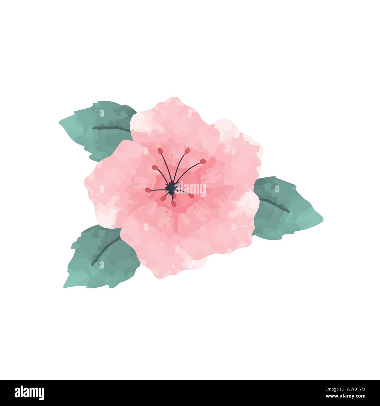 Tulip flowers in red Stock Vector Images - Alamy