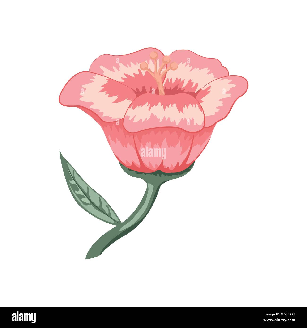 Tulips flowers design Cut Out Stock Images & Pictures - Alamy