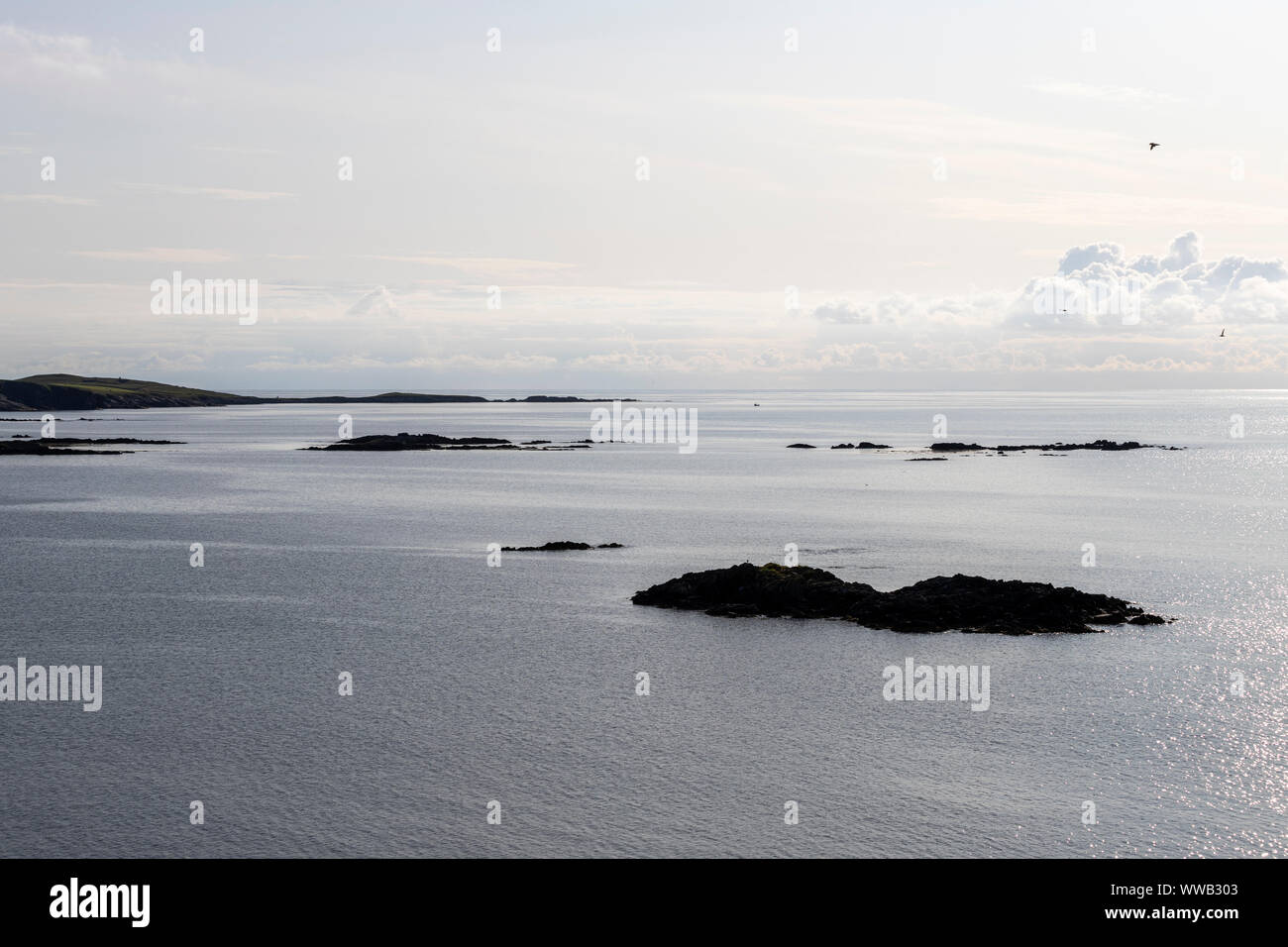 Small islands landscape in Mainland, Shetland islands, Scotland, UK ...