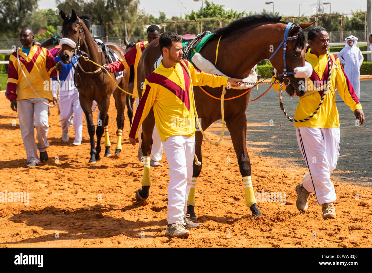 Horse Racing at King Khalid Racetrack, Taif, Saudi Arabia 22/06/2019 ...