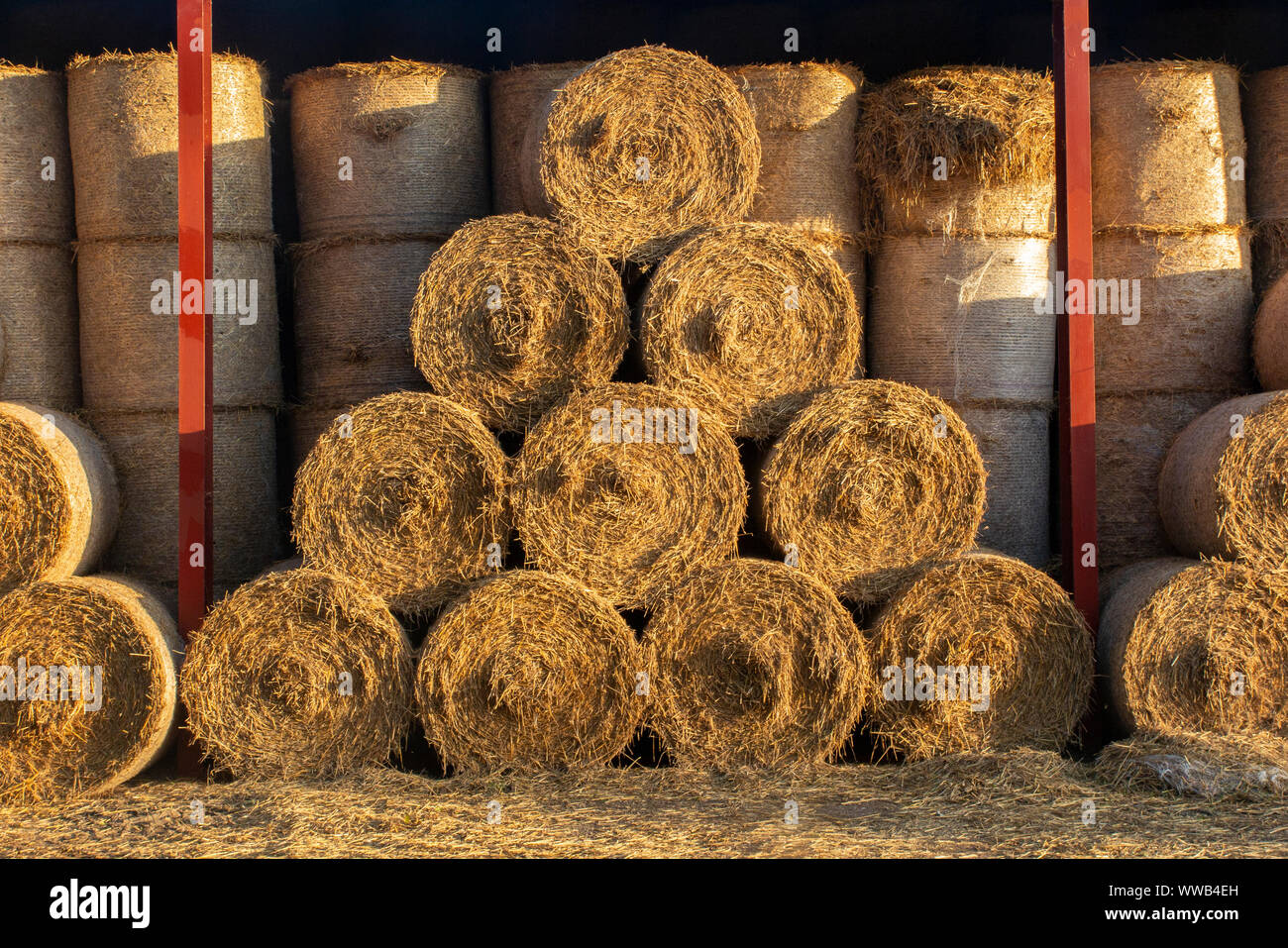 Stacked hay bales in a barn in Kent, ready for the winter Stock Photo ...