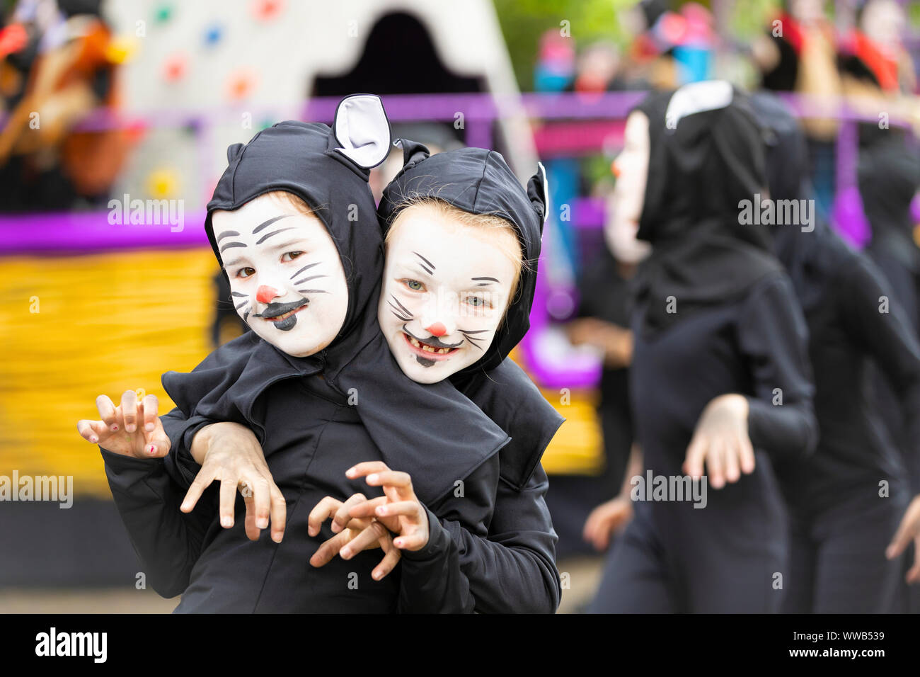 Cat festival in Ieper Stock Photo - Alamy