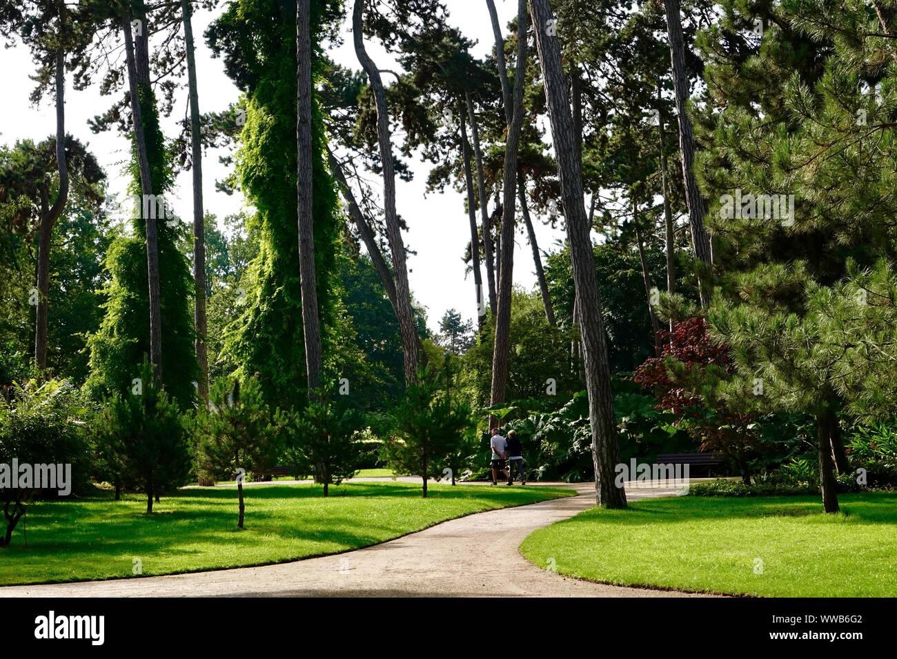 Couple walking on path through open area with tall pines, Parc Floral ...
