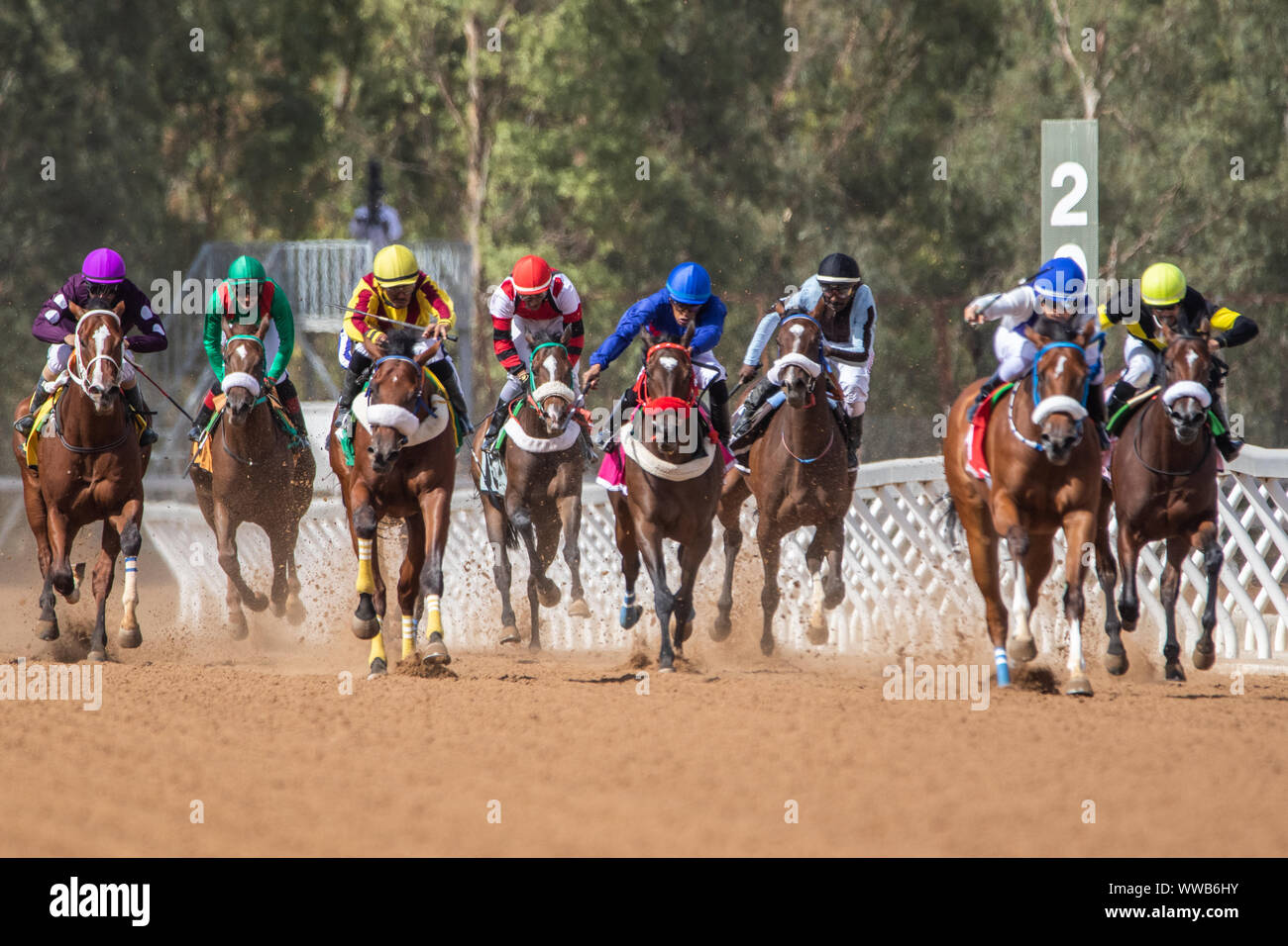 Horse Racing at King Khalid Racetrack, Taif, Saudi Arabia 22/06/2019 ...