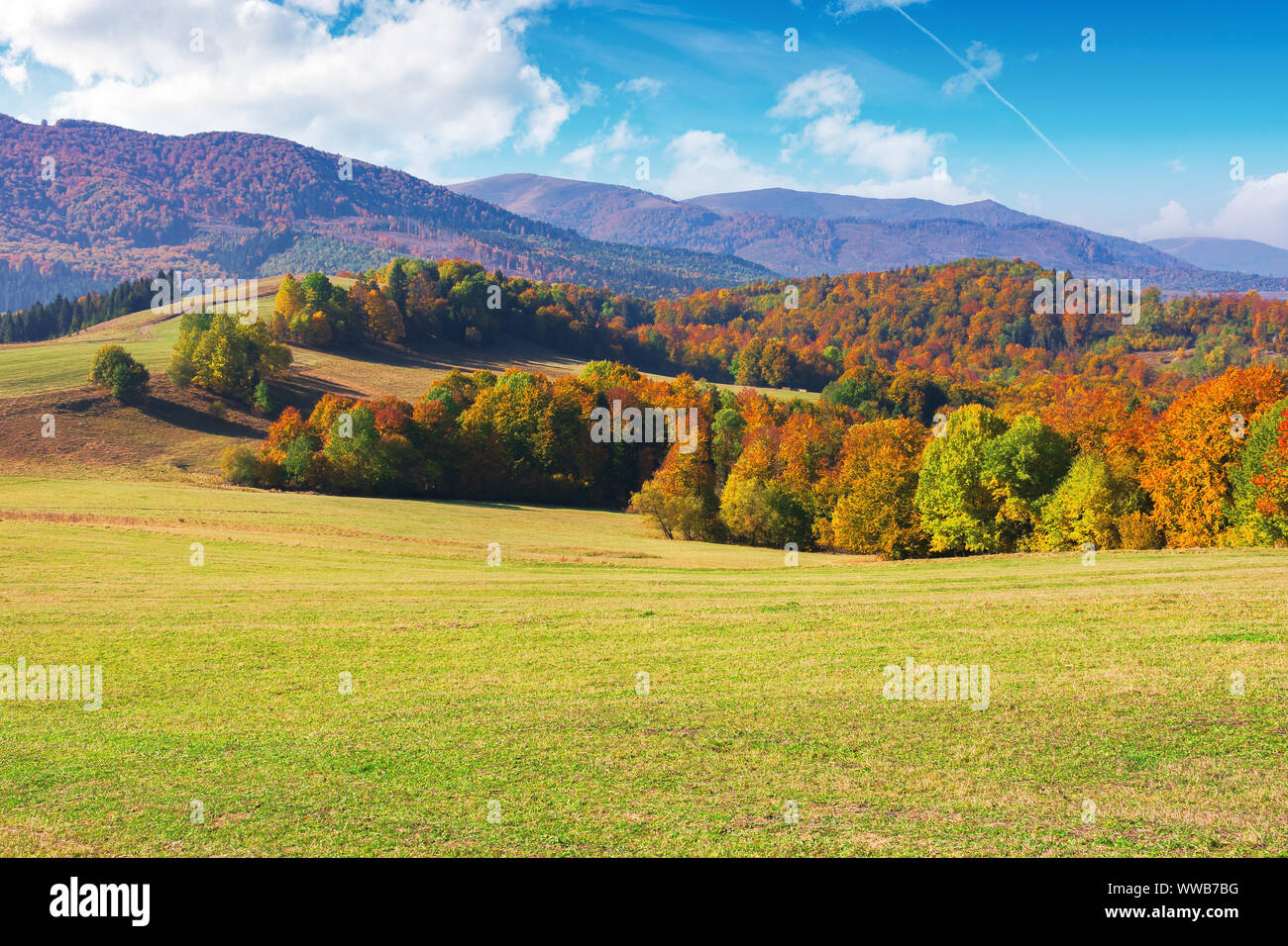 beautiful autumn mountain landscape. scenic view of a forest in fall ...