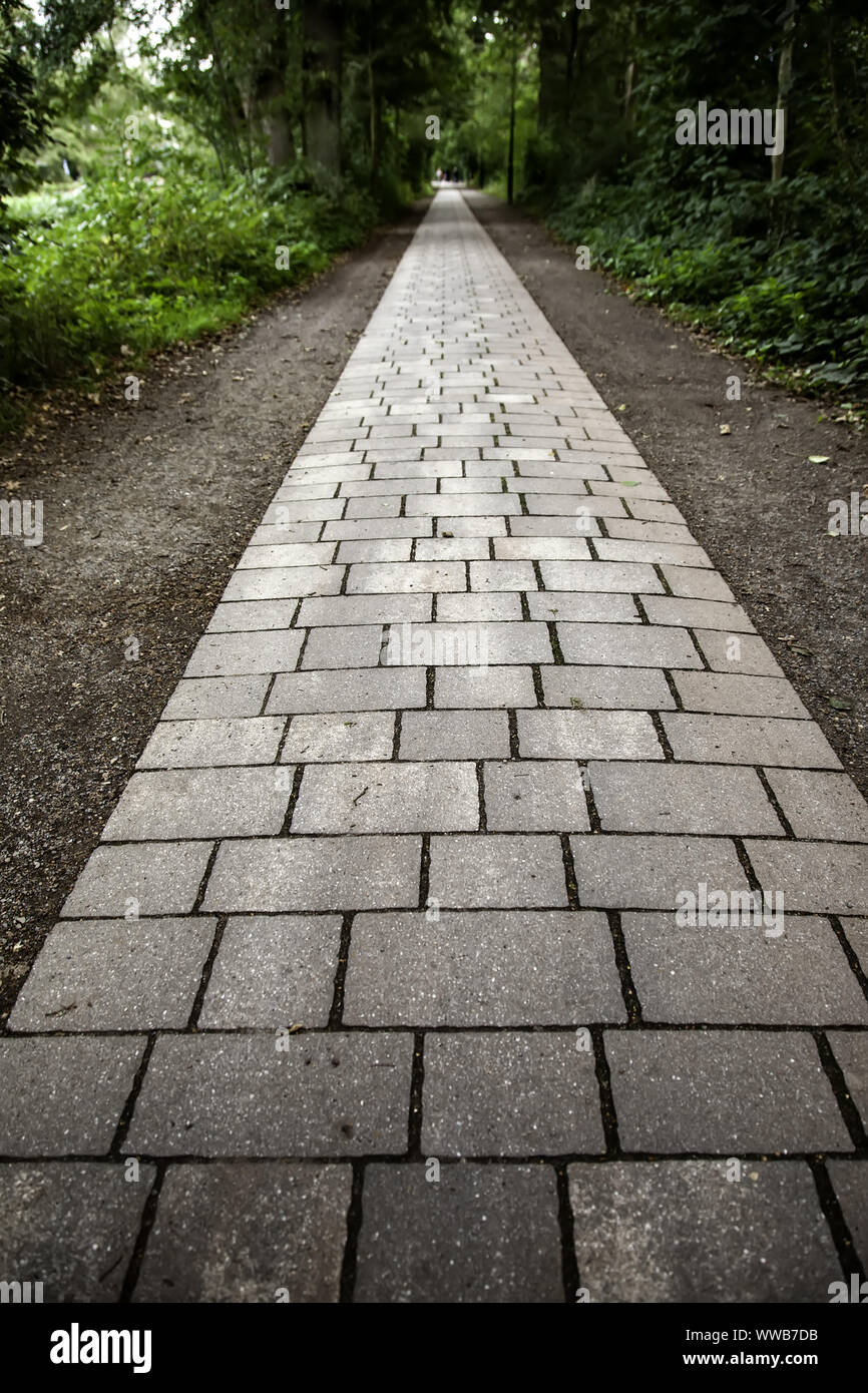 Cobblestone road in the forest, pedestrian walk detail, nature in the ...