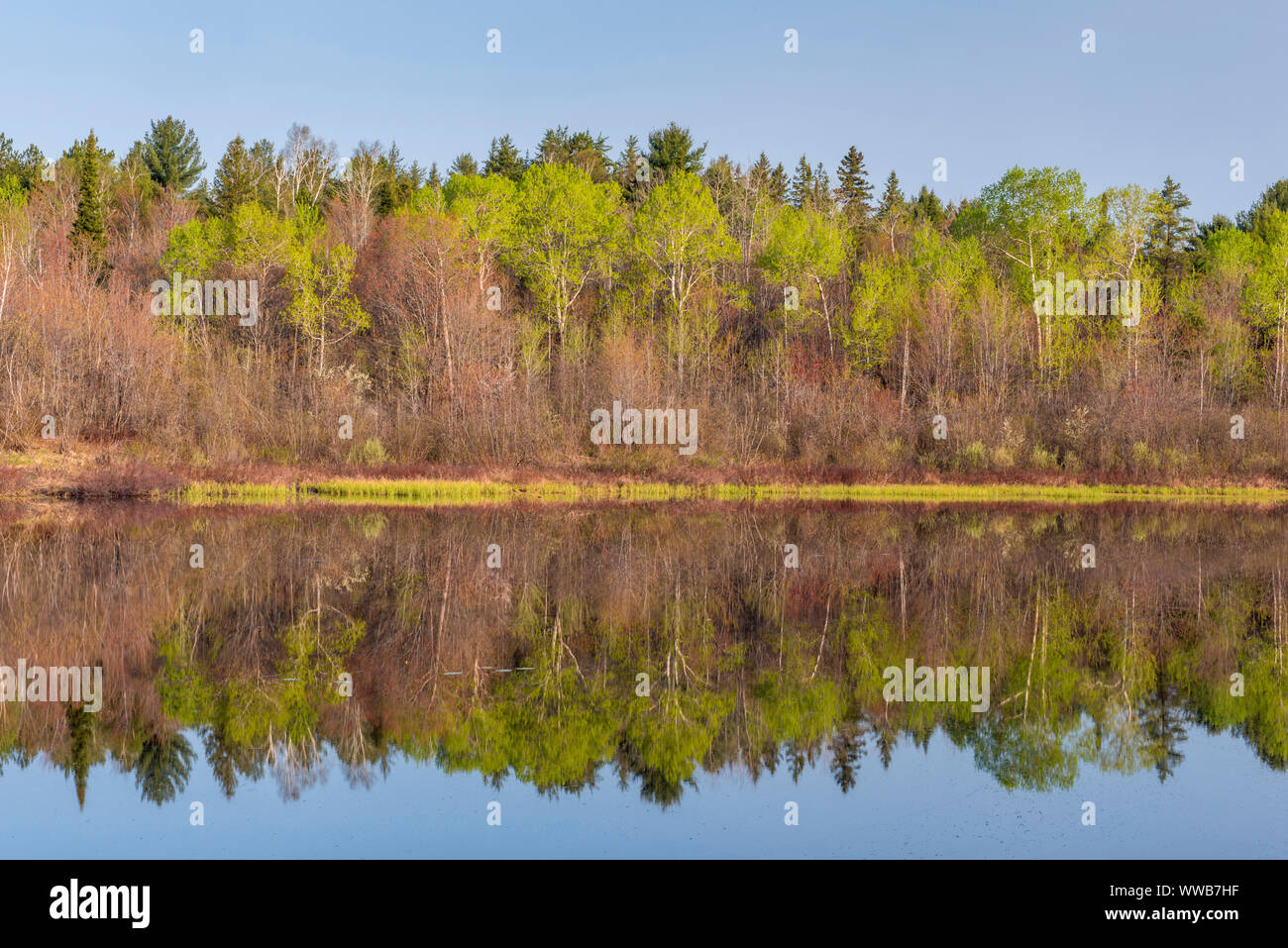 Creighton canada hi-res stock photography and images - Alamy