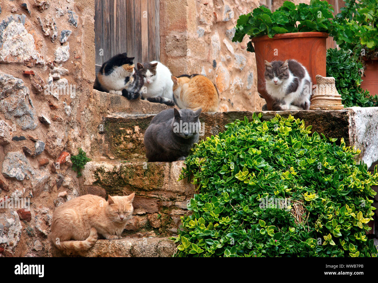 Castletown castle hi-res stock photography and images - Alamy