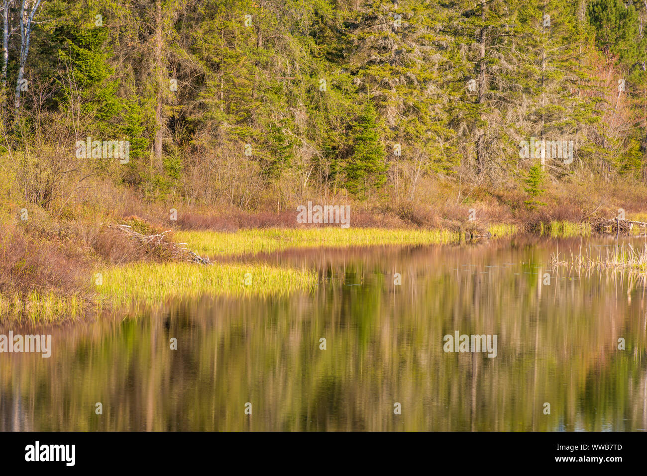 Fairbank Creek on a spring morning, Creighton, Ontario, Canada Stock ...