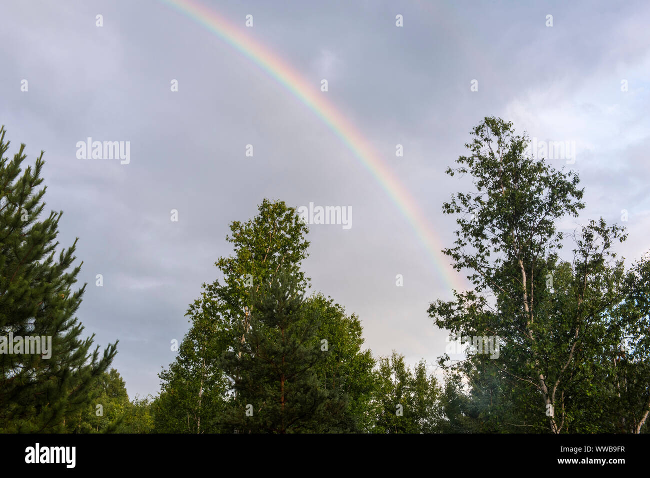 Afternoon rainbow after a storm, Greater Sudbury, Ontario, Canada Stock ...