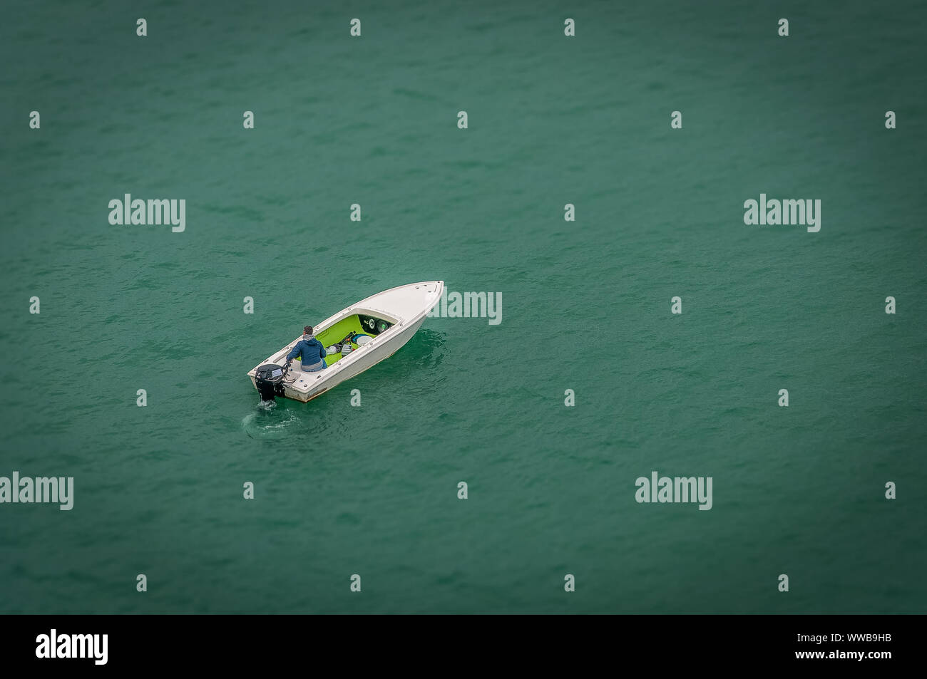 Tilt shift effect of man on a speedboat, Venice, Italy Stock Photo - Alamy