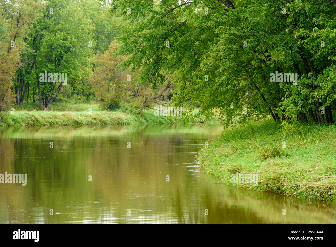Mississippi River with ash tree reflections, Jacobson, Minnesota, USA ...