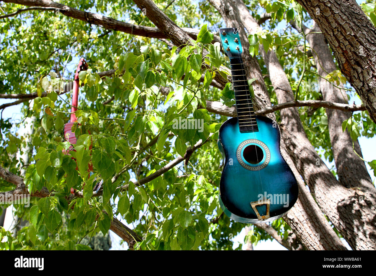 Guitar Hanging in Tree Stock Photo - Alamy
