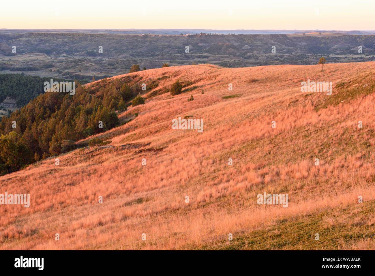 The badlands in late summer, from Buck Hill, Theodore Roosevelt ...