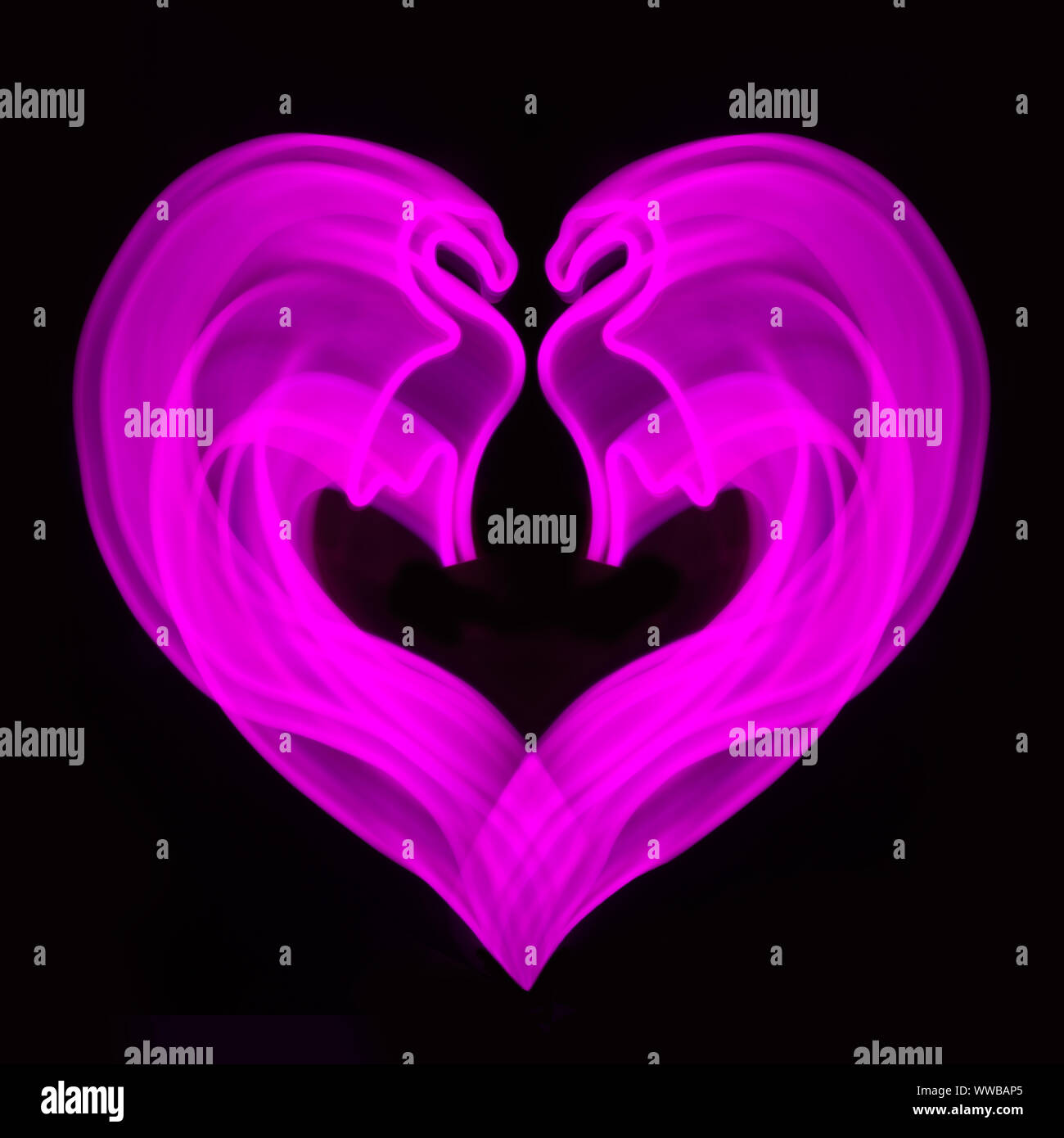 Neon pink flamingo LED lamp in motion in shape of heart on black ...