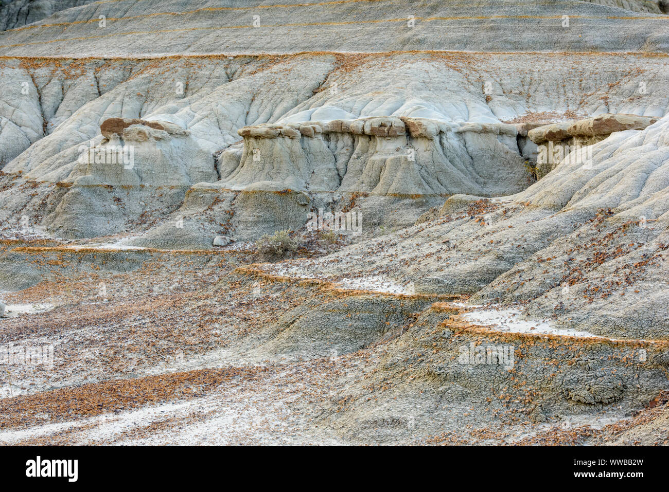 Eroded bentonite badlands features, Theodore Roosevelt National Park ...