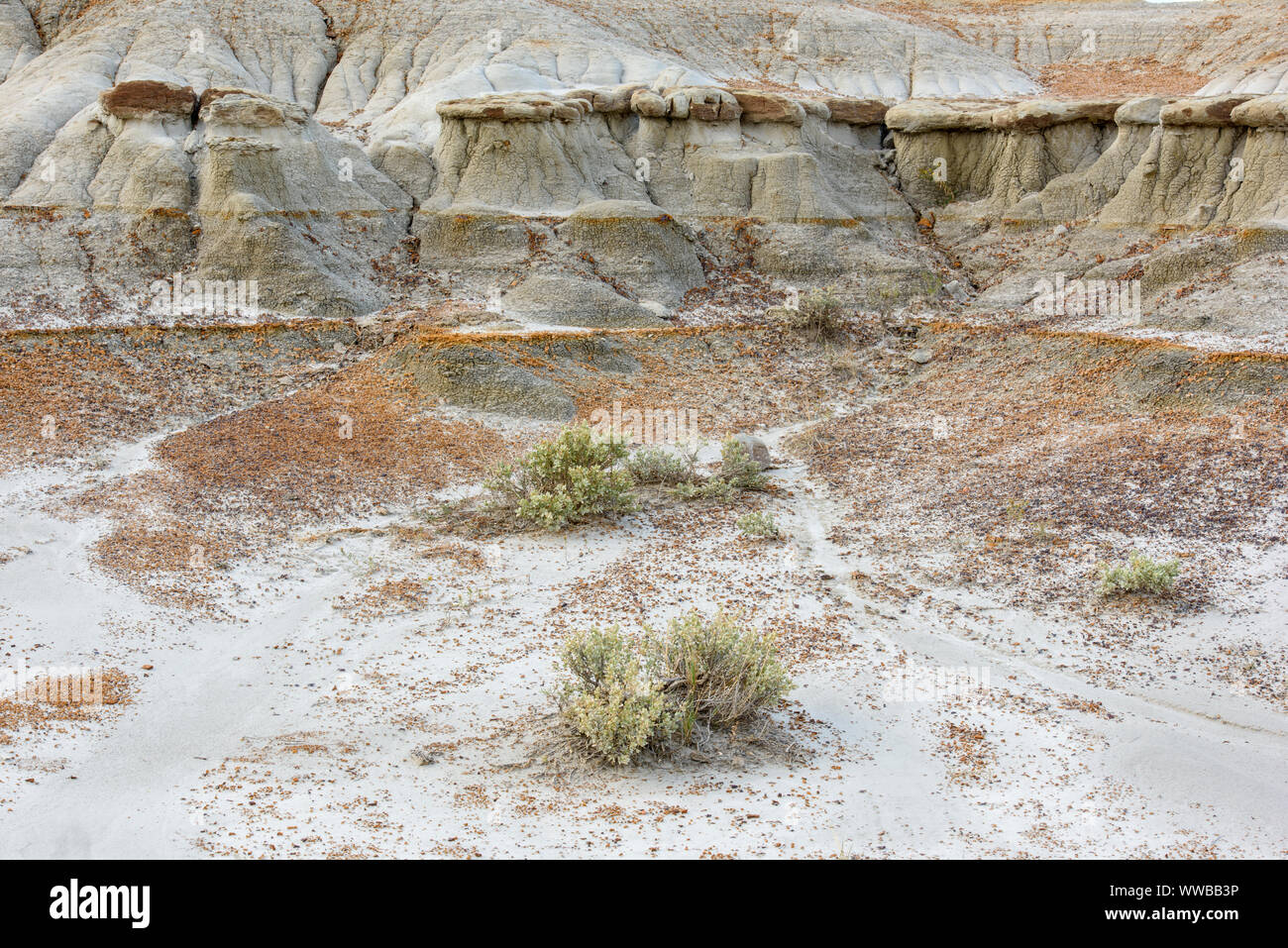 Eroded bentonite badlands features, Theodore Roosevelt National Park ...