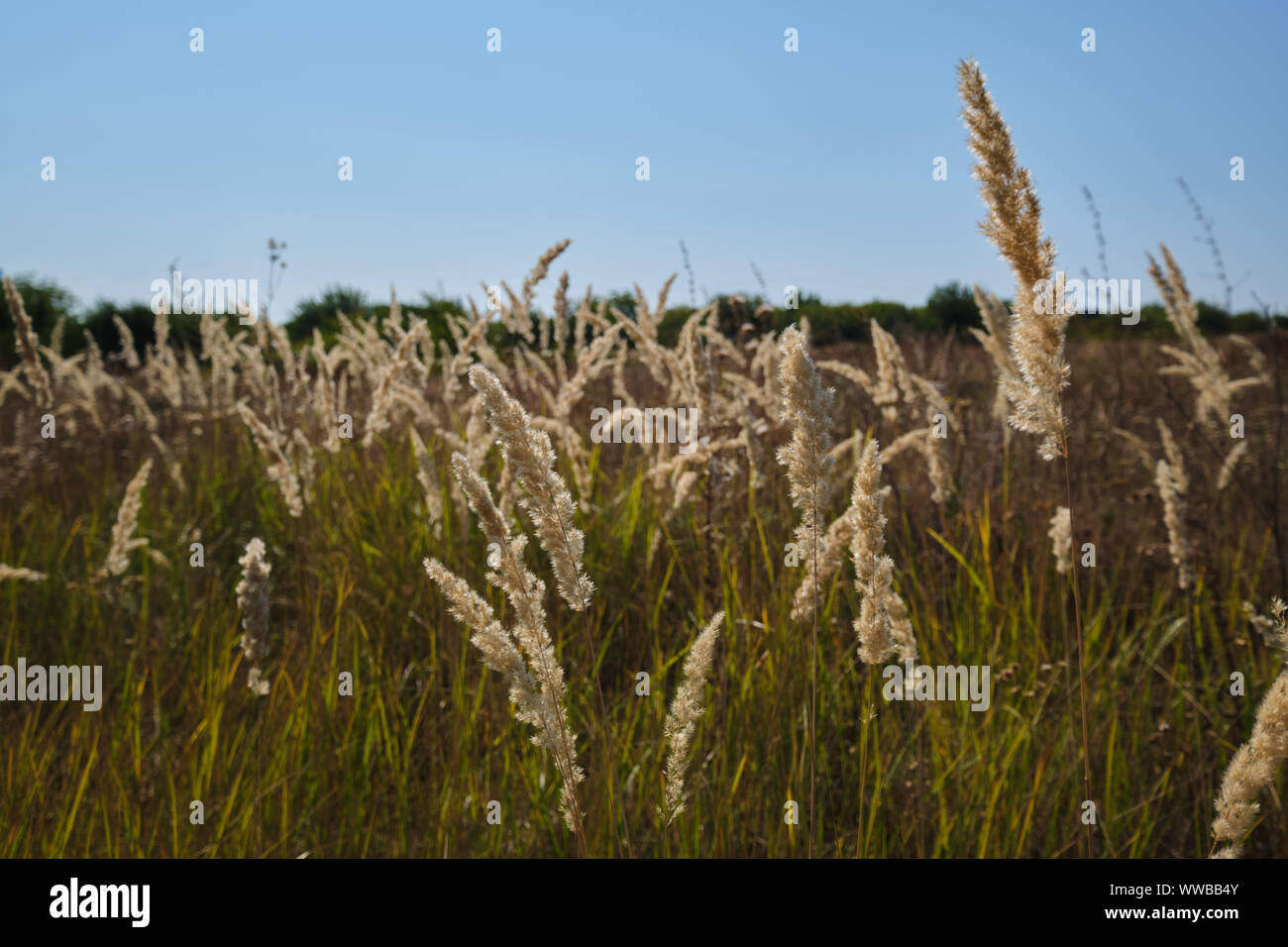 Ukrainian steppe hi-res stock photography and images - Alamy