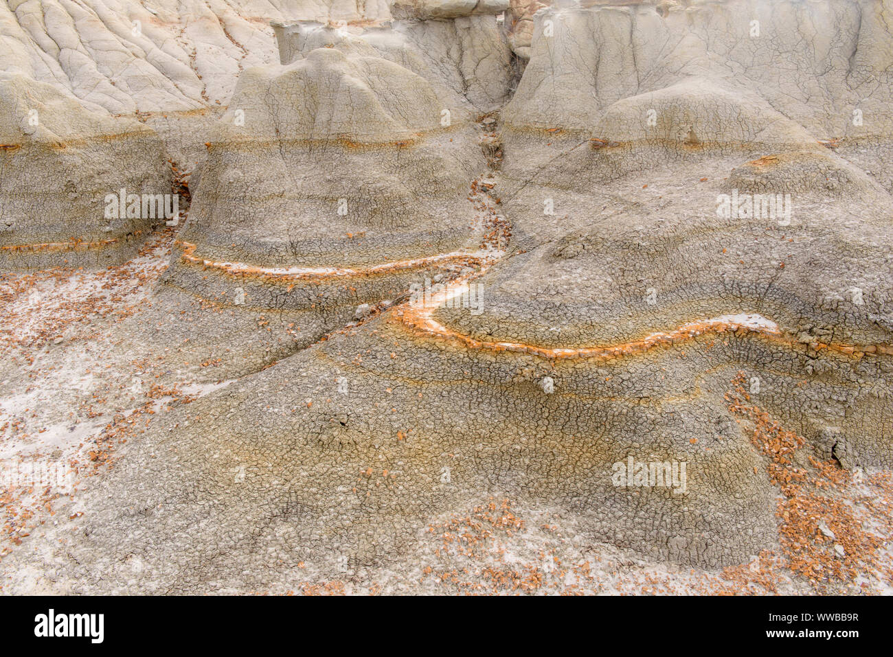 Eroded bentonite badlands features, Theodore Roosevelt National Park ...