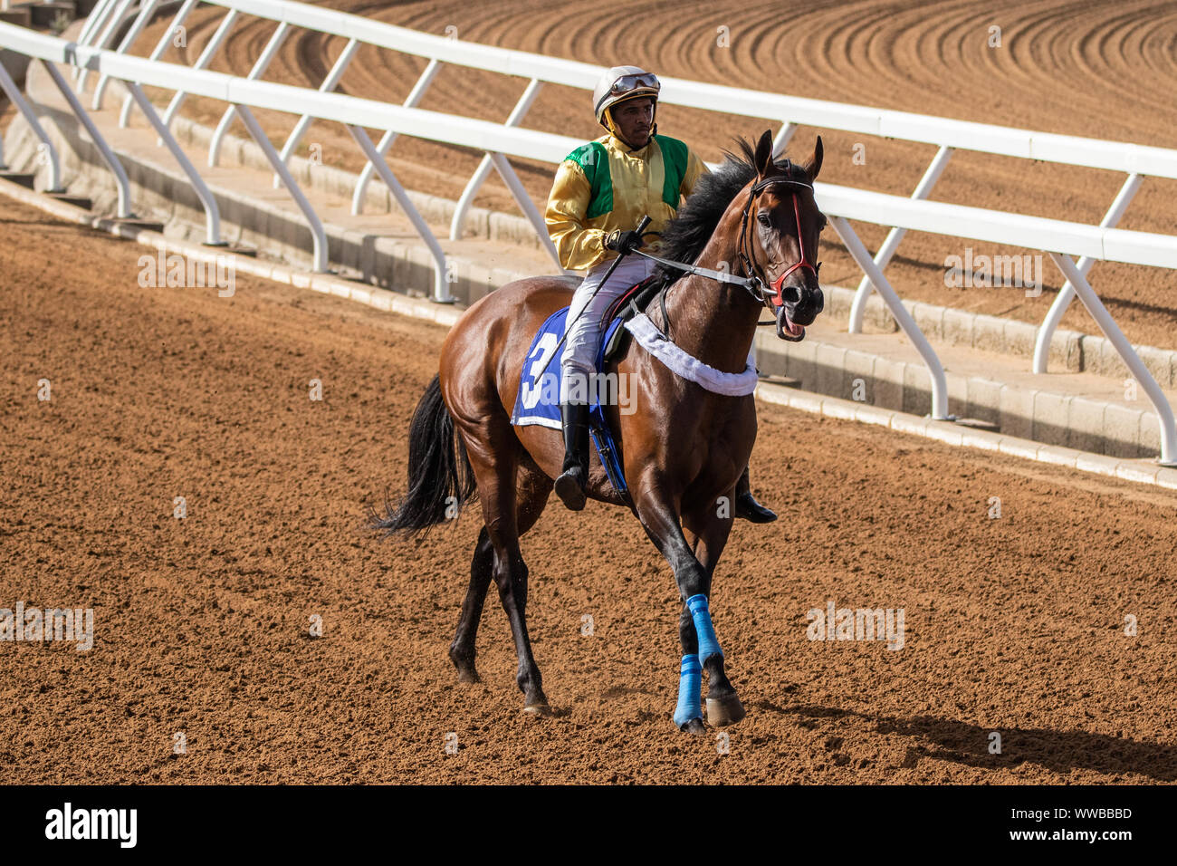Horse Racing at King Khalid Racetrack, Taif, Saudi Arabia 22/06/2019 ...