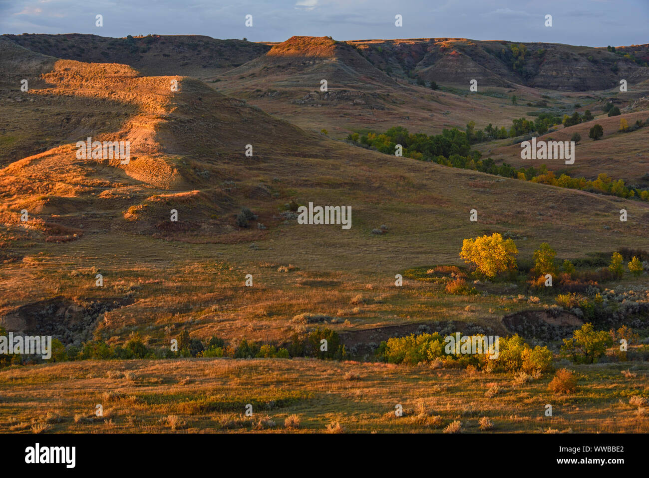 The Little Missouri River Valley in late summer, Theodore Roosevelt ...