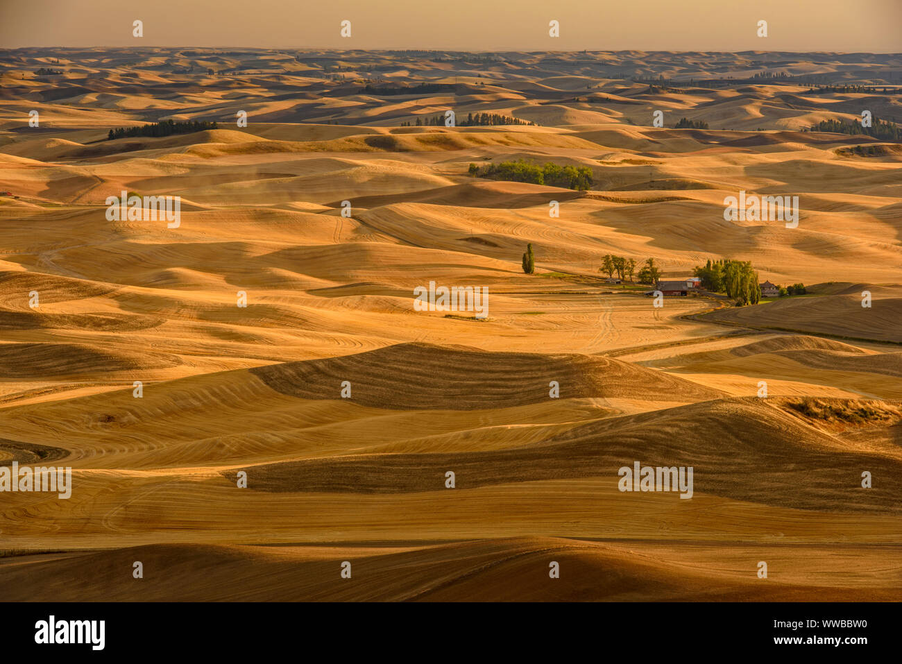 Palouse landscape in late summer from a high viewpoint, Steptoe Butte ...